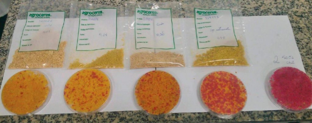 Urease a importância de fazer o teste de qualidade. Nutri&Aves